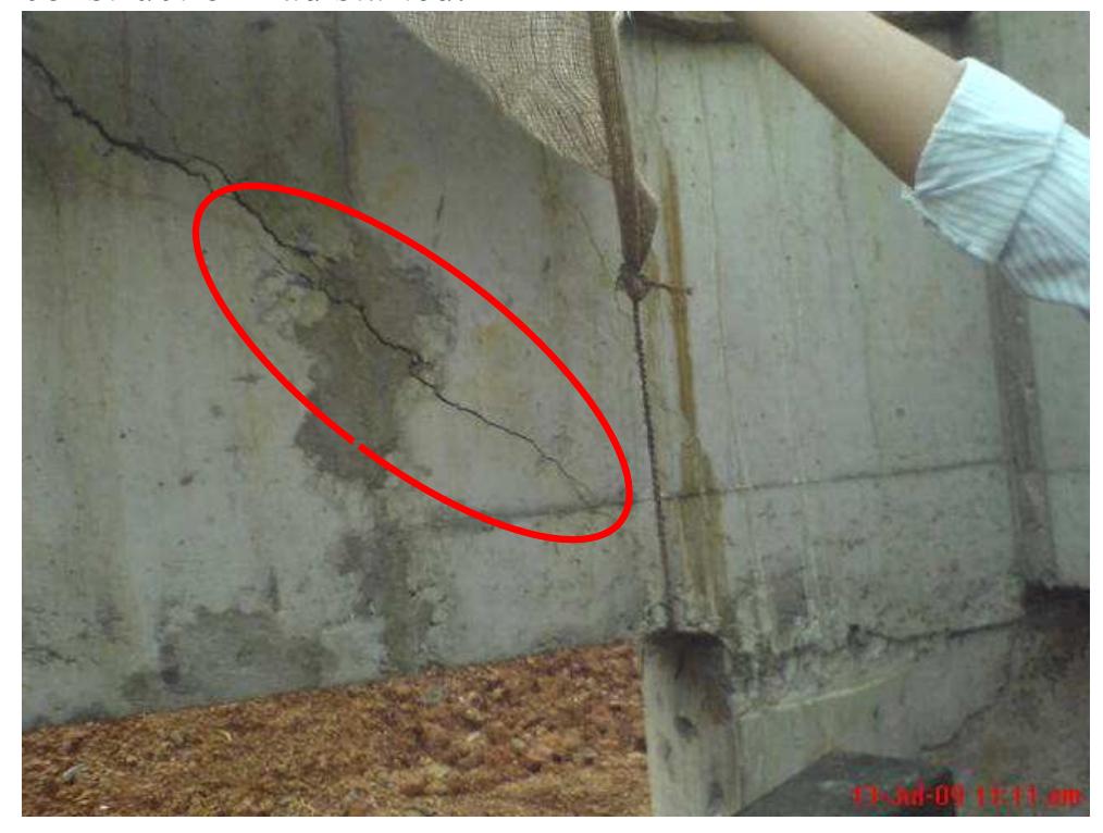 Figure 1 - from SETTLEMENT OF A STRUCTURE–A CASE STUDY