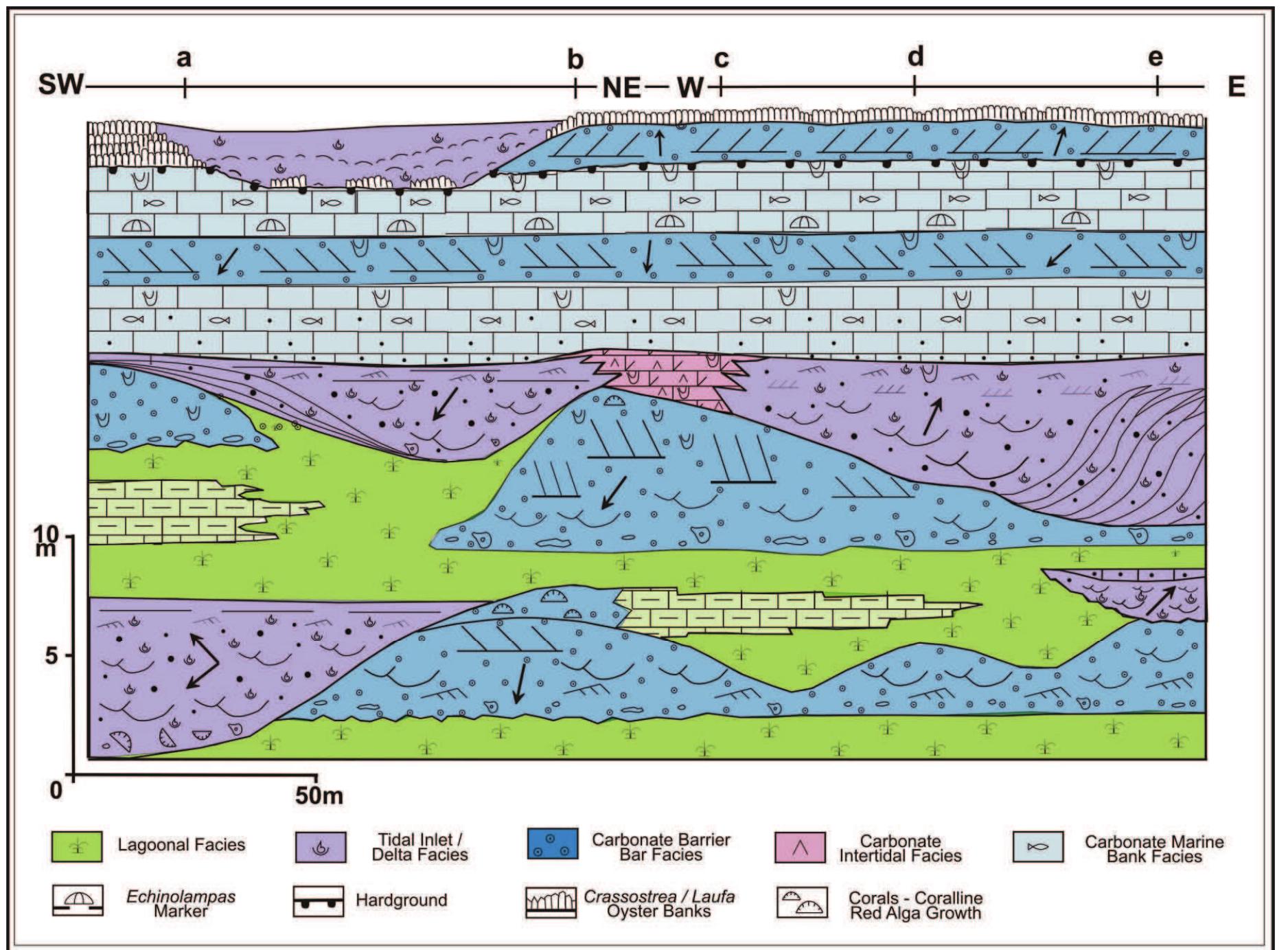 Detailed facies cross-section along dur zaqqut escarpment