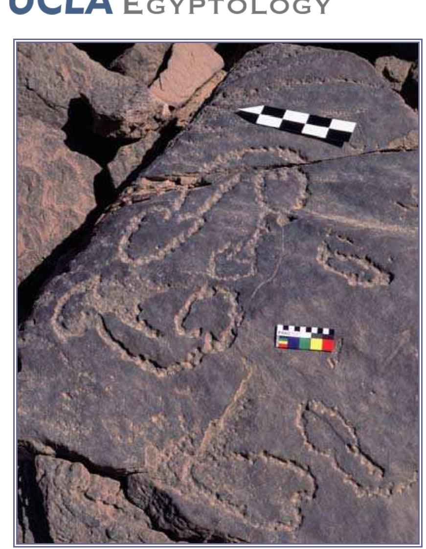 Cluster of epi-palaeolithic labyrinth- fish-trap motifs from
