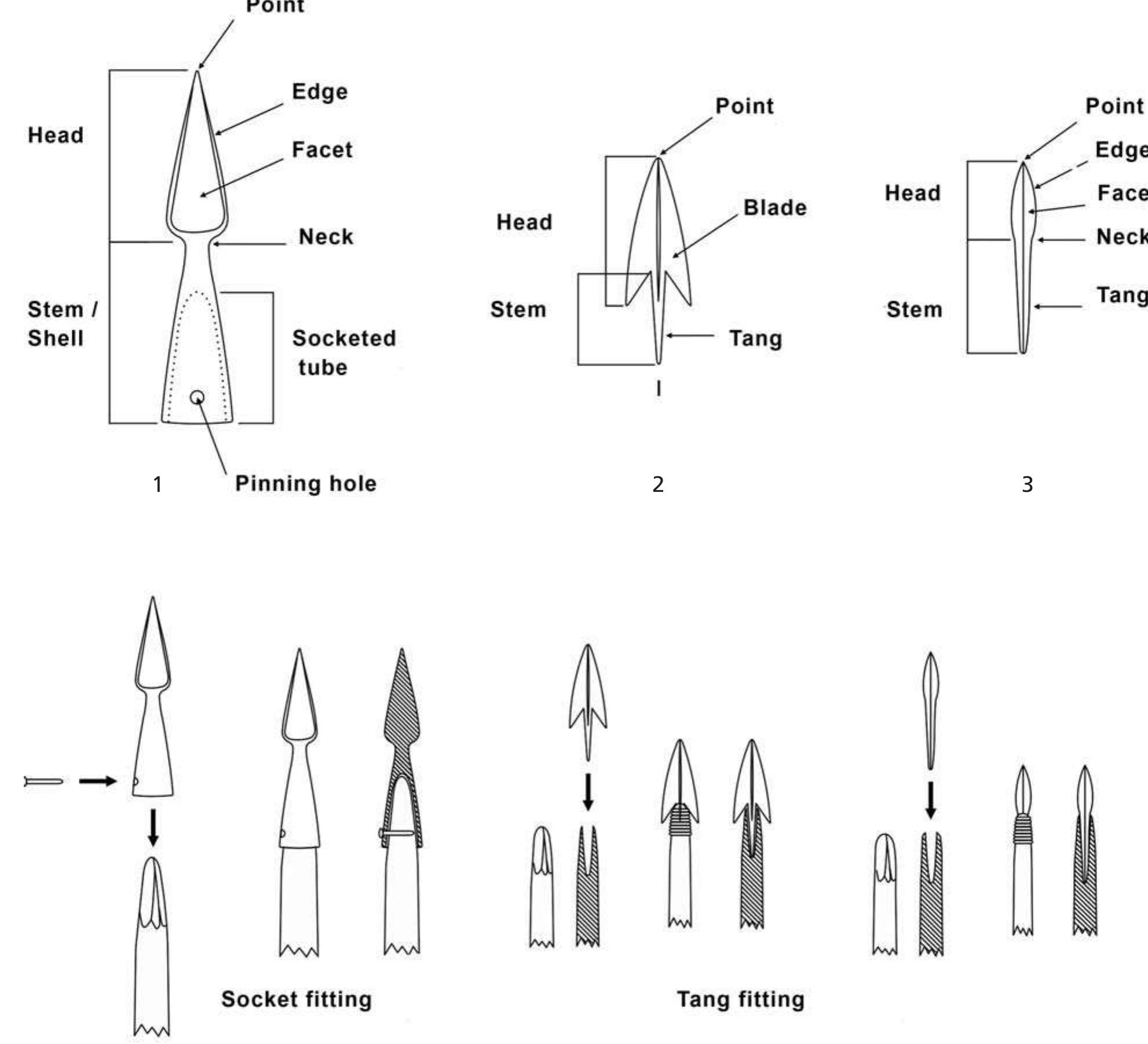 Parts of a projectile. terminology and fittings. - 1 scorpio