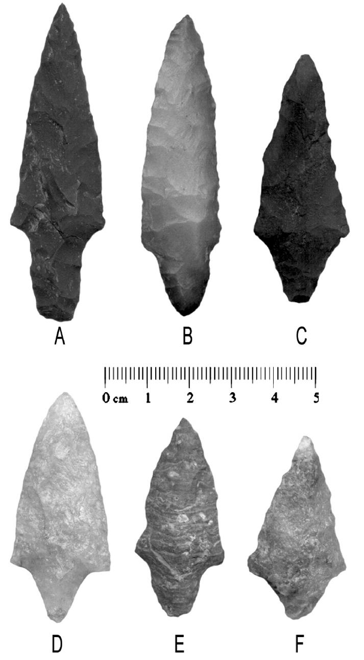 Stemmed Projectile Points From The Burial Feature At The