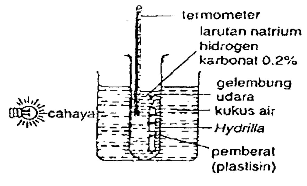 Figure 4 - Assessing Competency In Integrated Science