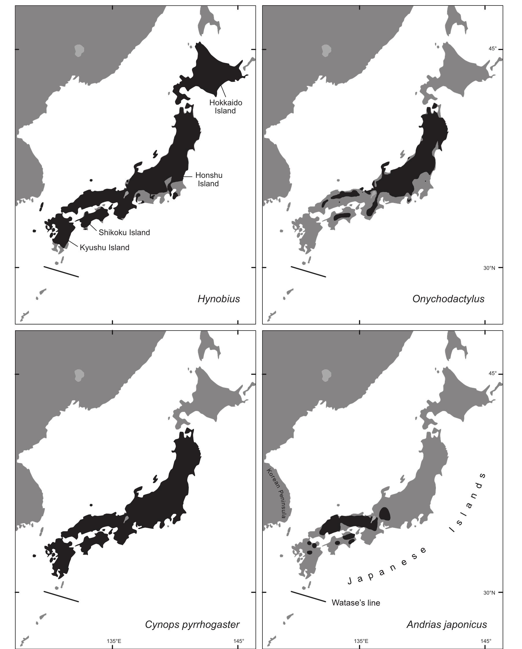 Distribution of salamanders on the japanese islands.