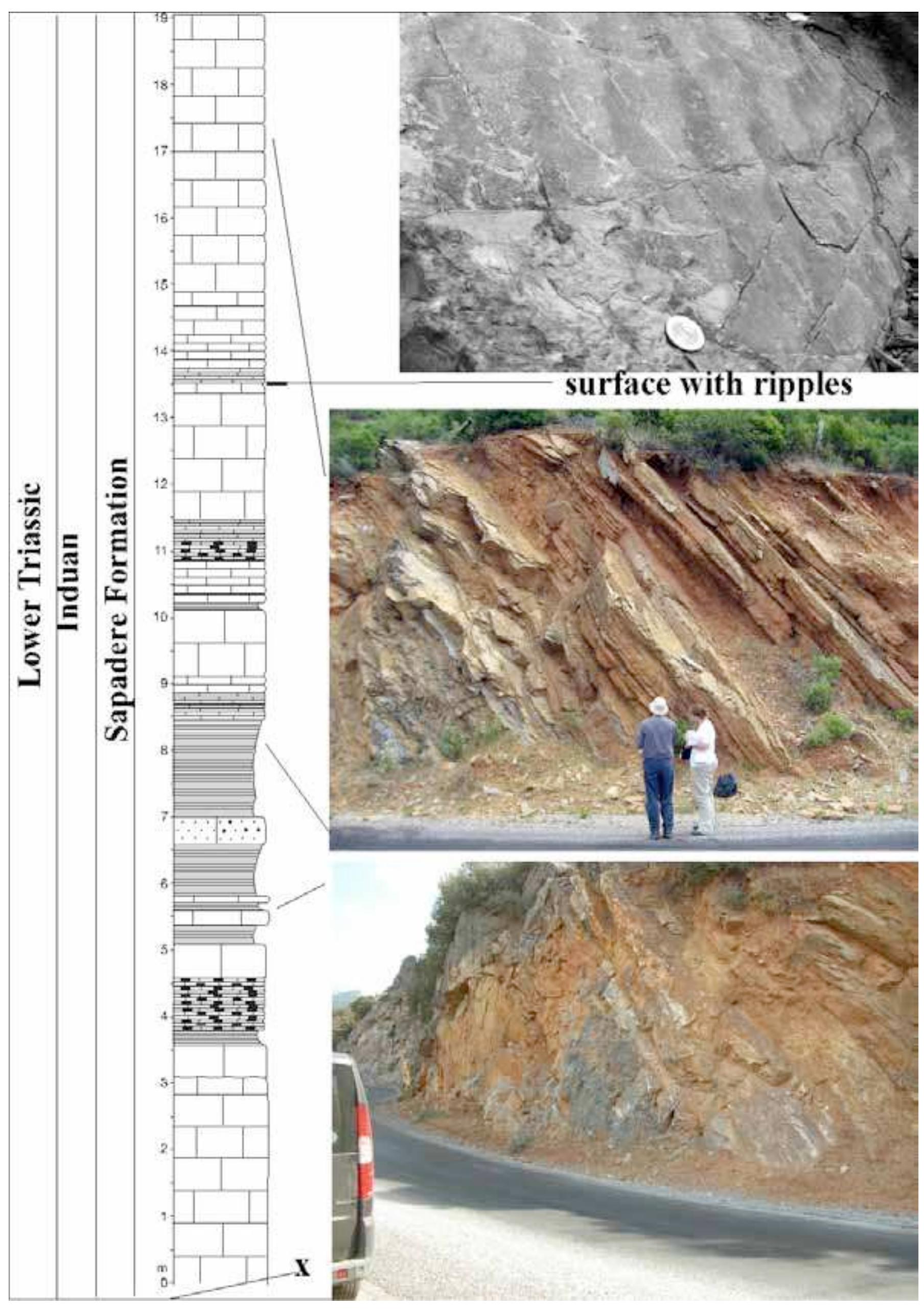 Stop 2, log and outcrops view of the oznur tepe road