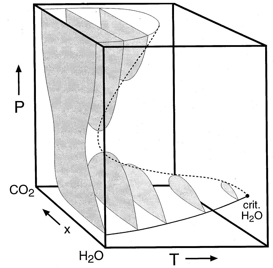 Schematic p-t-x diagram of the h,o-co, fluid system (after