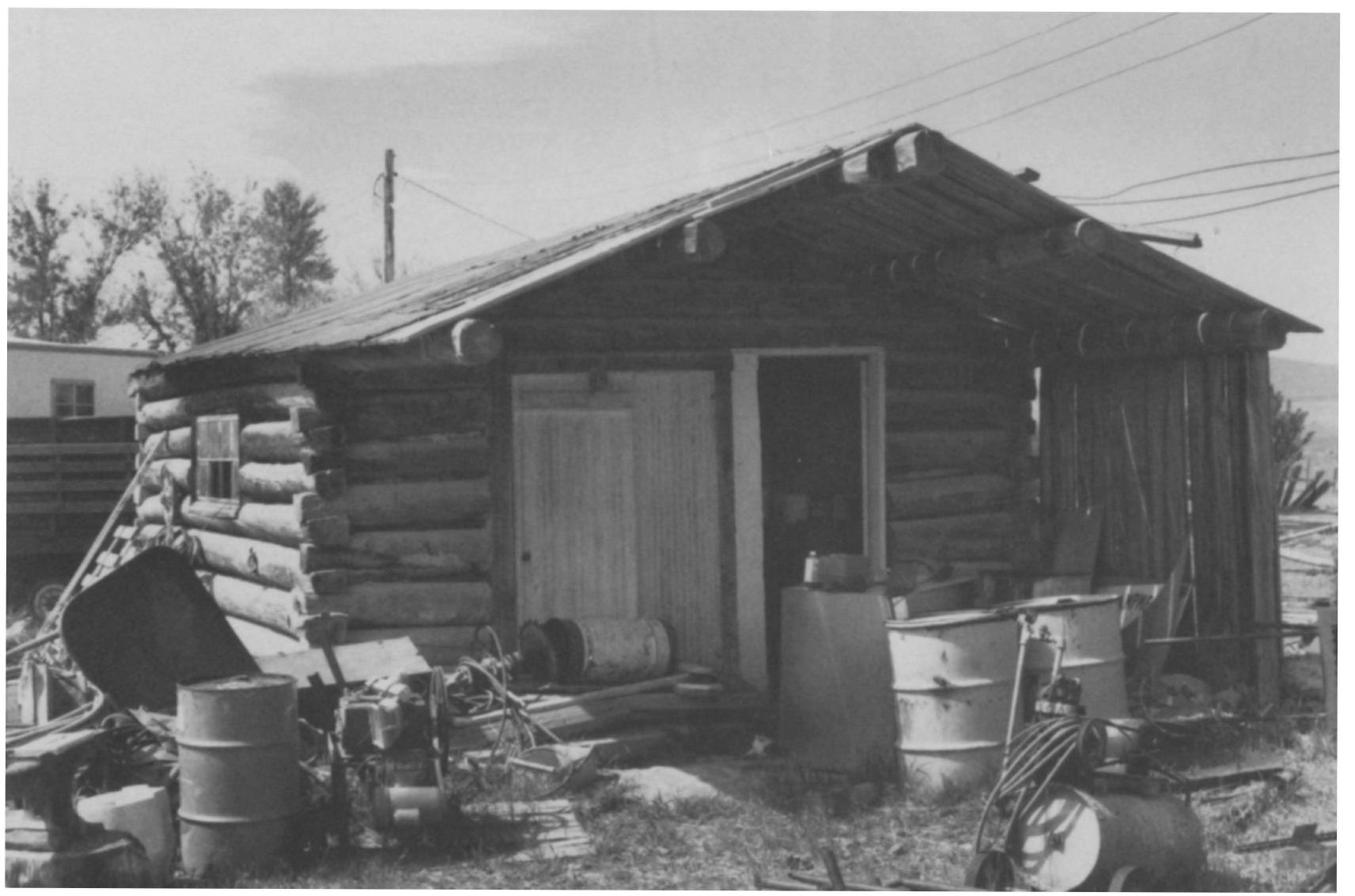 Gable-entry cabin with cantilevered roof projection in the