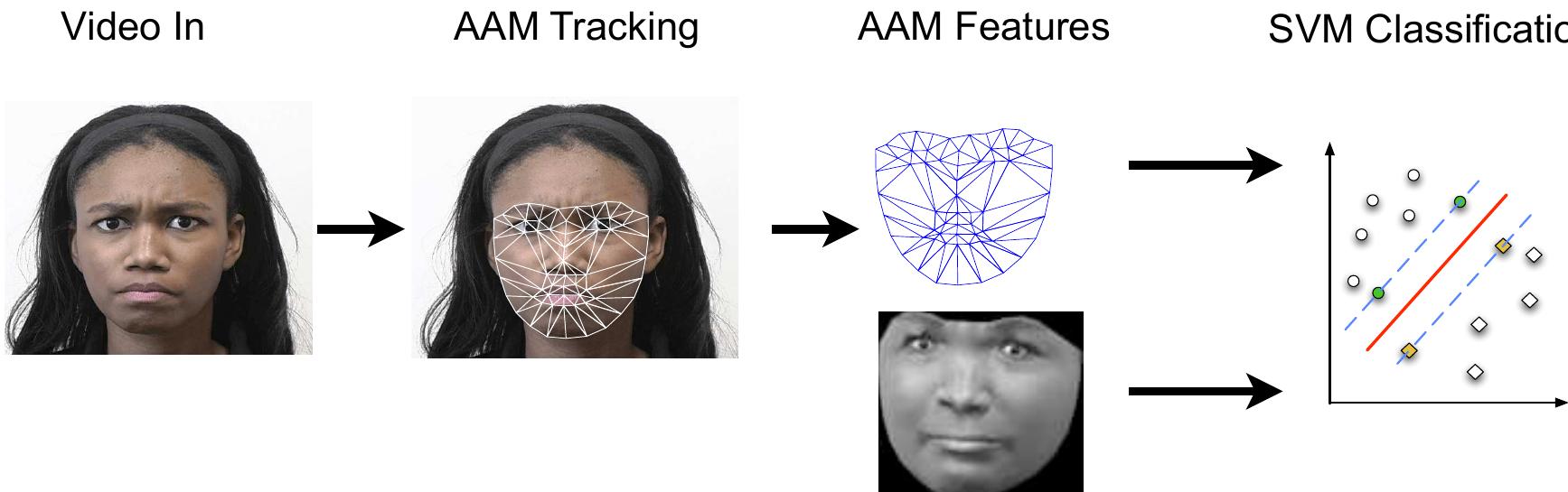 Block diagram of our automatic system. the face is tracked