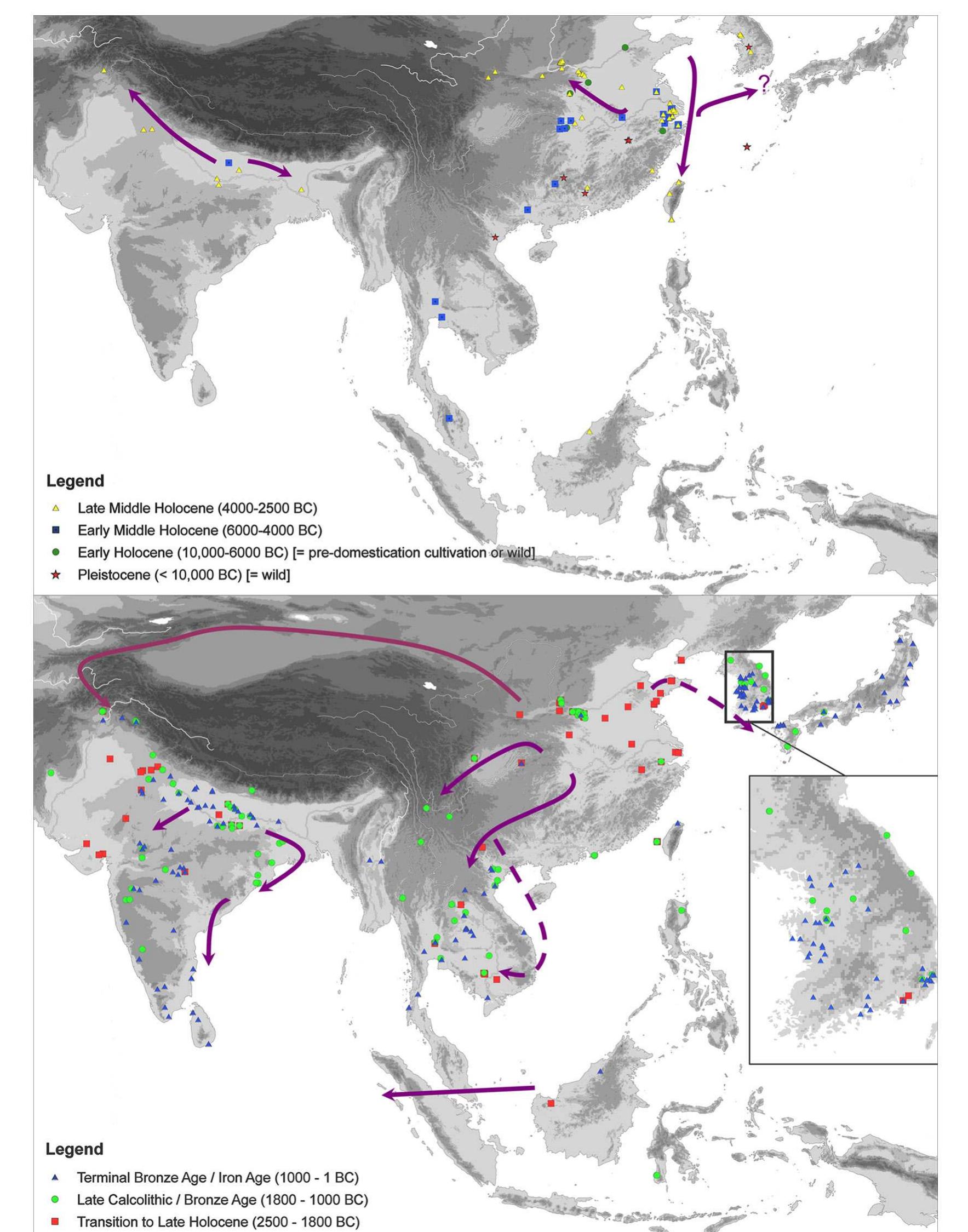 Maps of distribution of rice finds in broad chronological