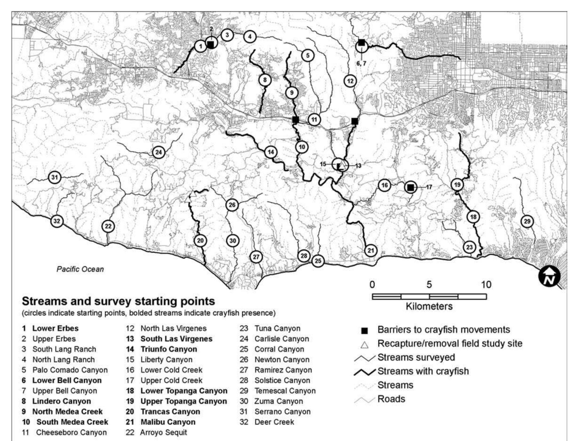 Map of streams surveyed for crayfish presence. bold lines