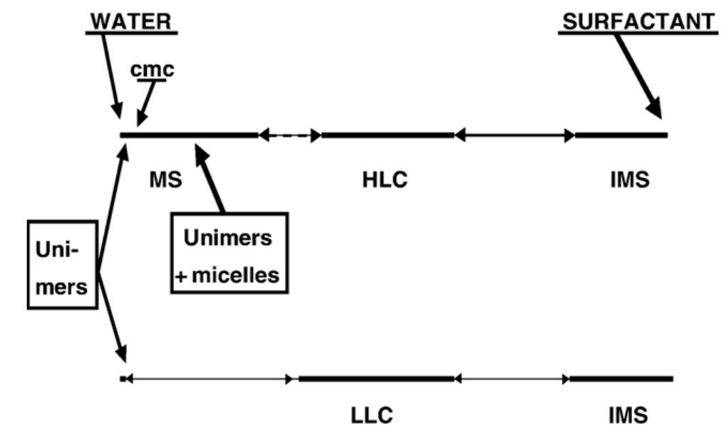 Phase diagrams for water with a “water soluble surfactant”