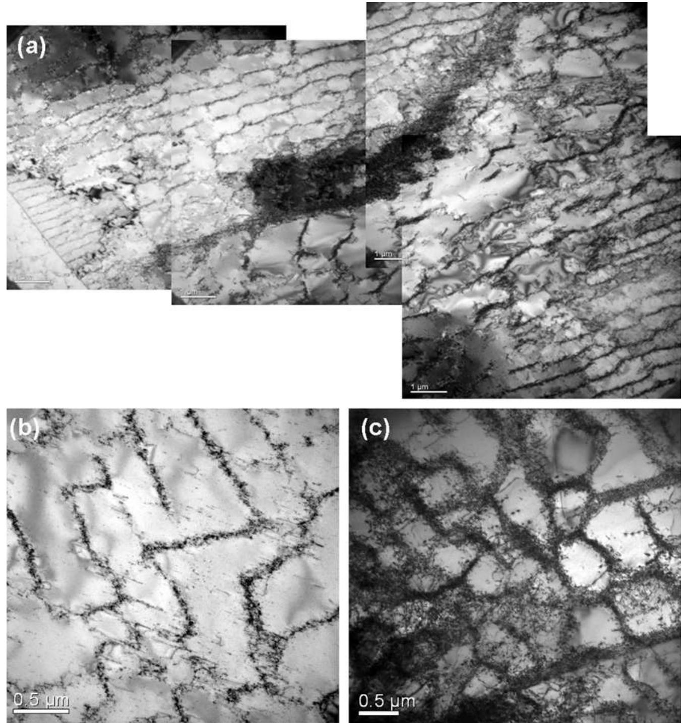 Dislocation structures in the endlife specimen determined in