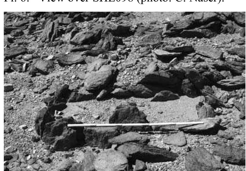 Pl. 7: she098, rectangular structure of upright stone slabs