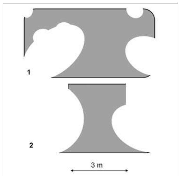 Cross-section of cavities in oldest development stages from