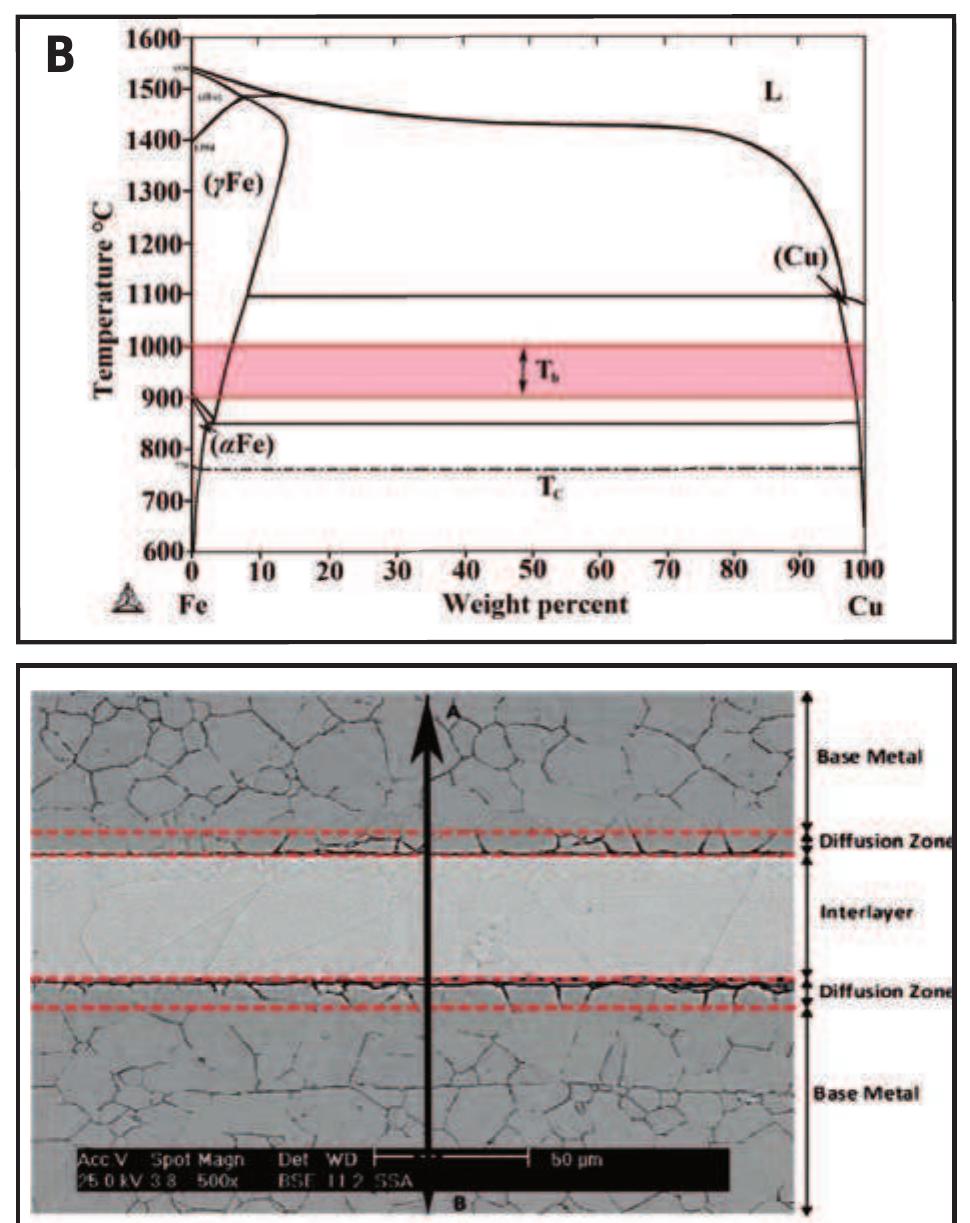 three distinct zones in the joints, showing the solute