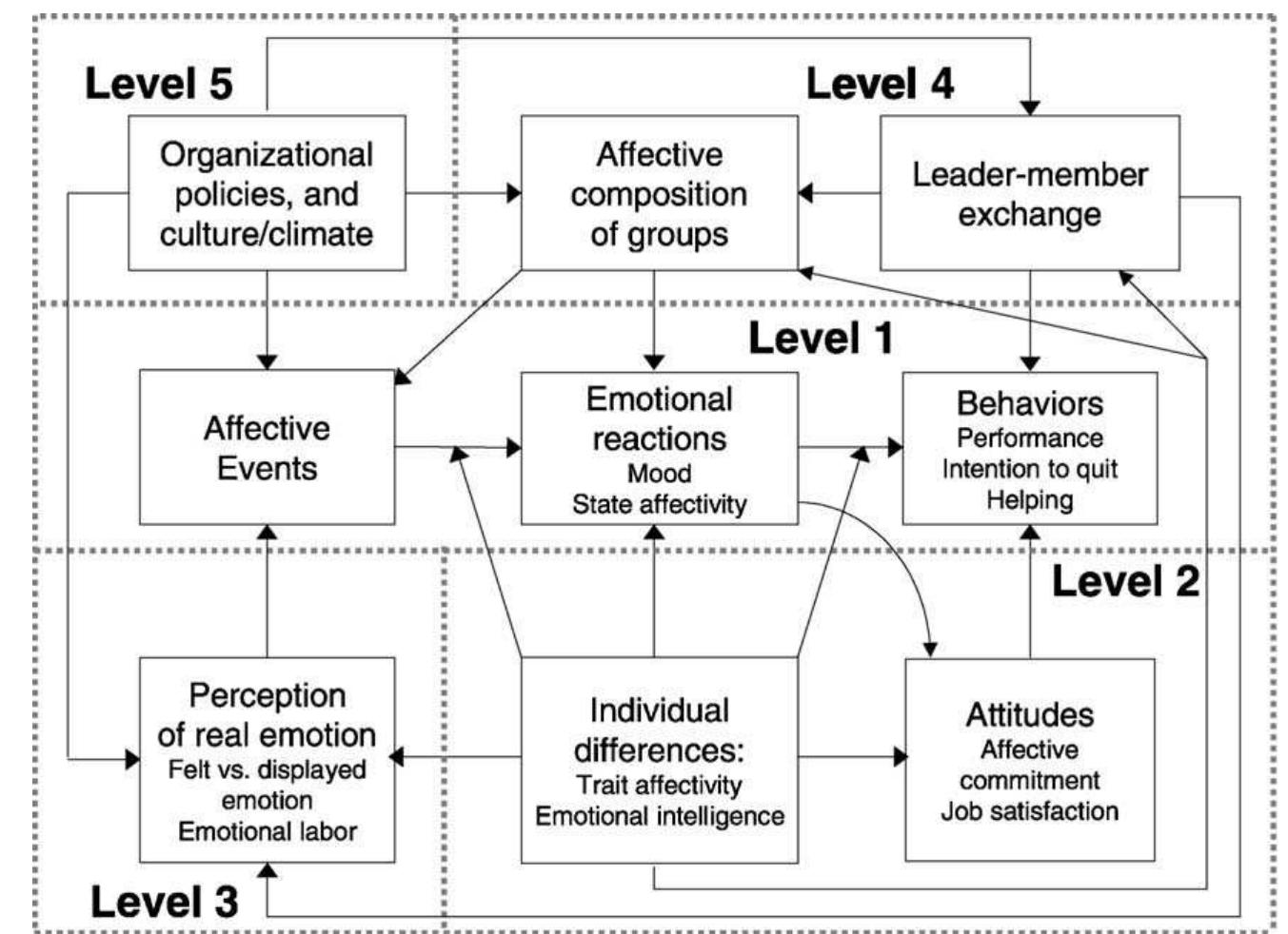 A multi-level model of emotions in organizations.