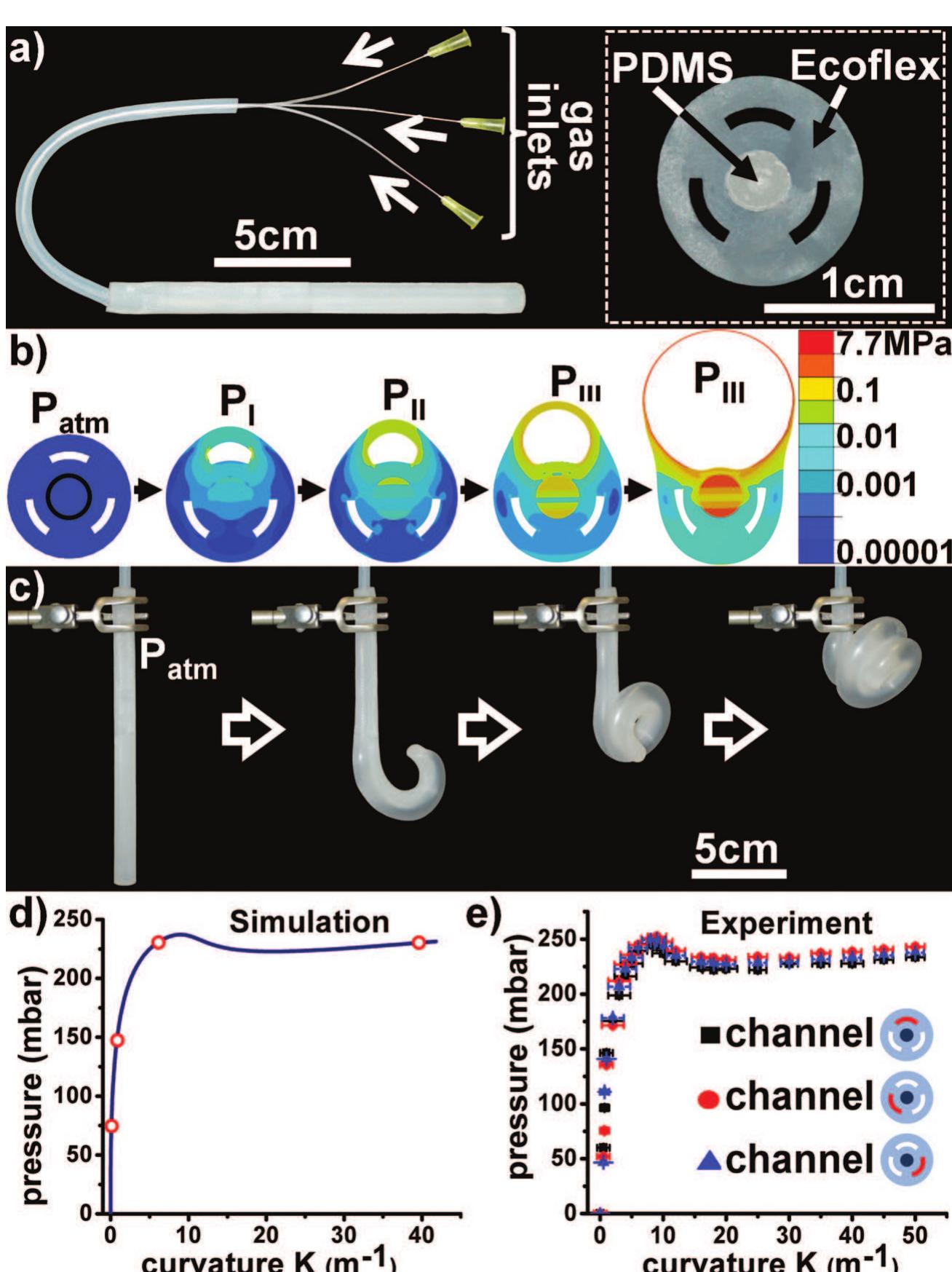 Igure 2. movement of a tentacle. a) tentacle with connectors