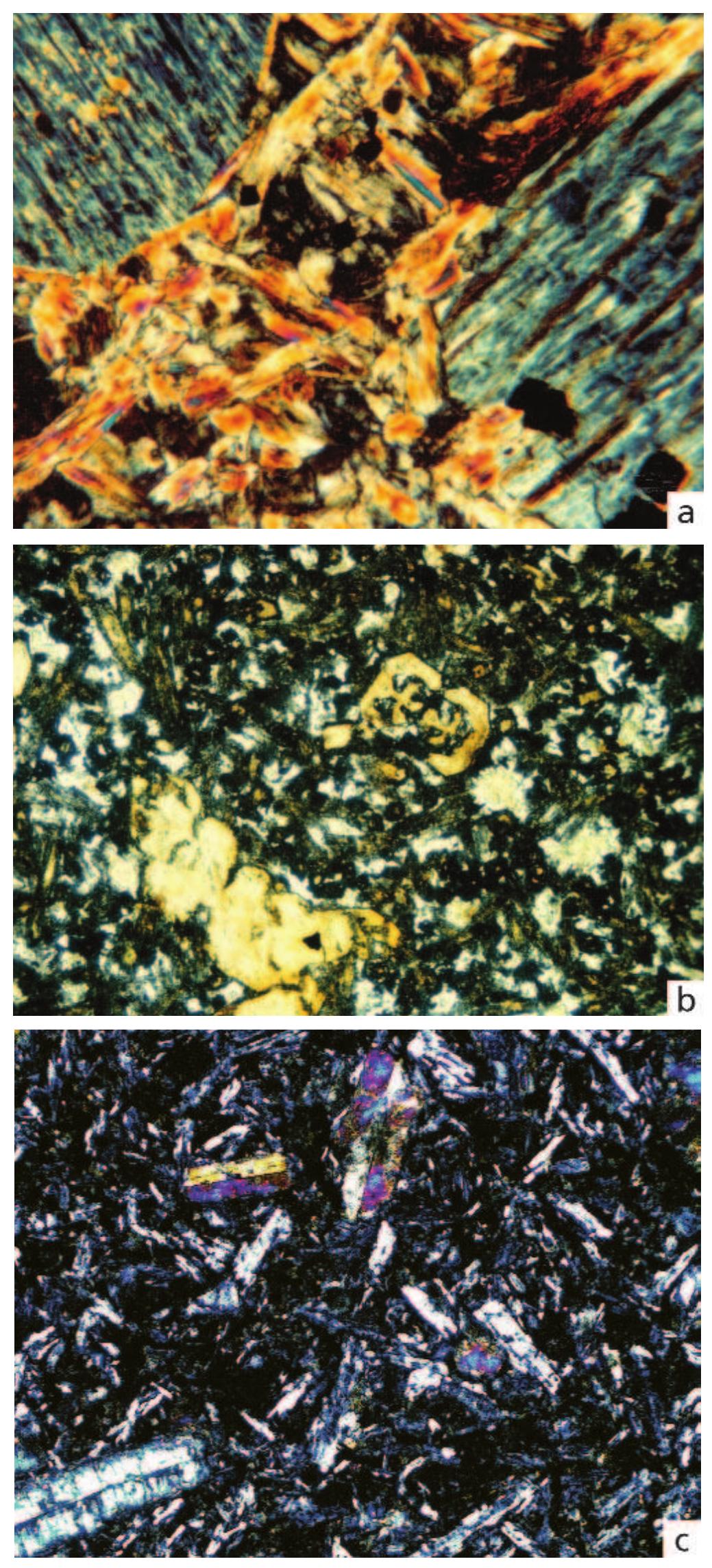 14: photomicrographs of typical textures in the heathcote