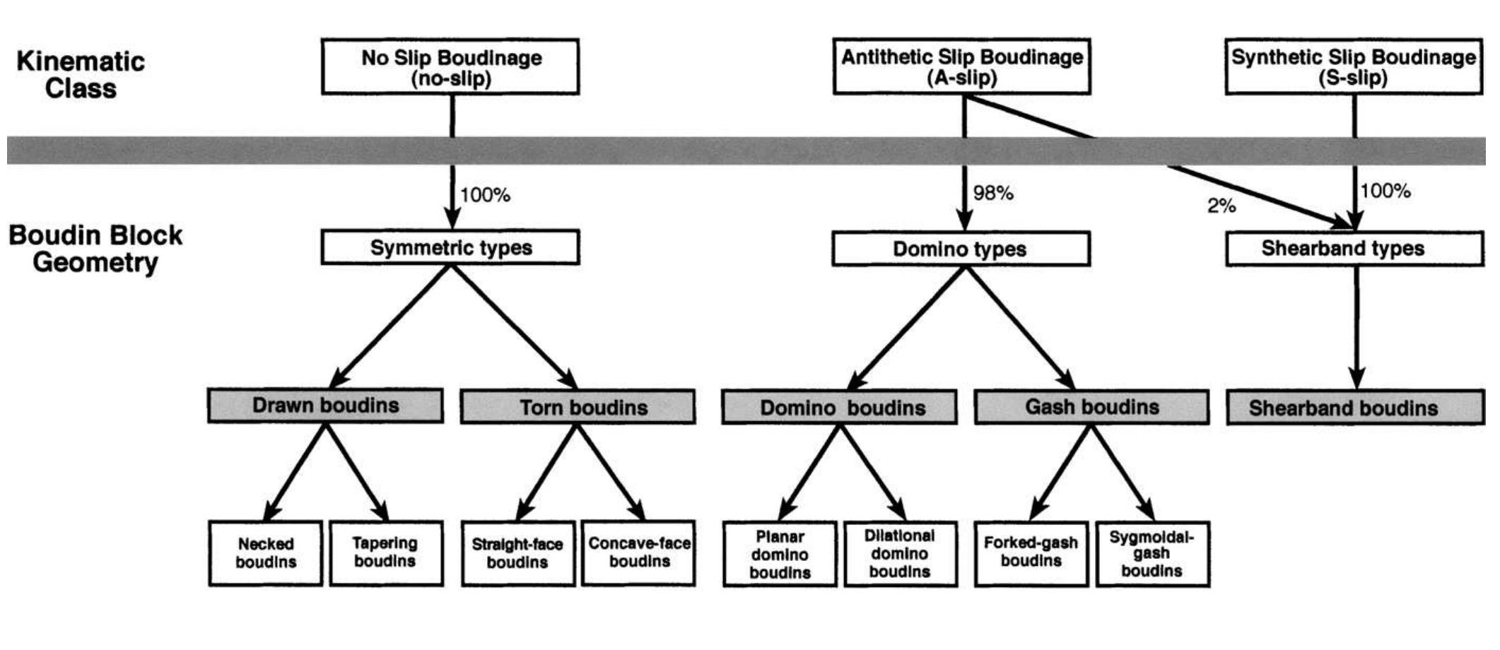 Below the thick shaded line are real boudin structures