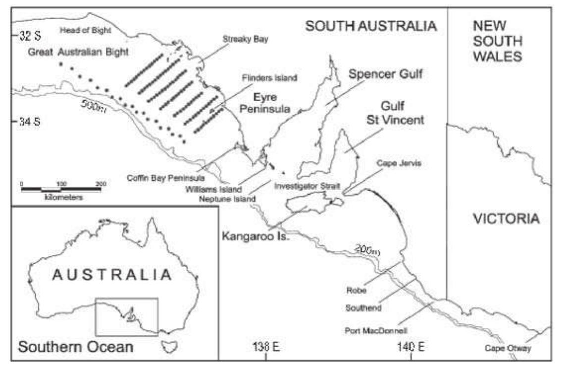 South australian shelf waters form part of a unique northern