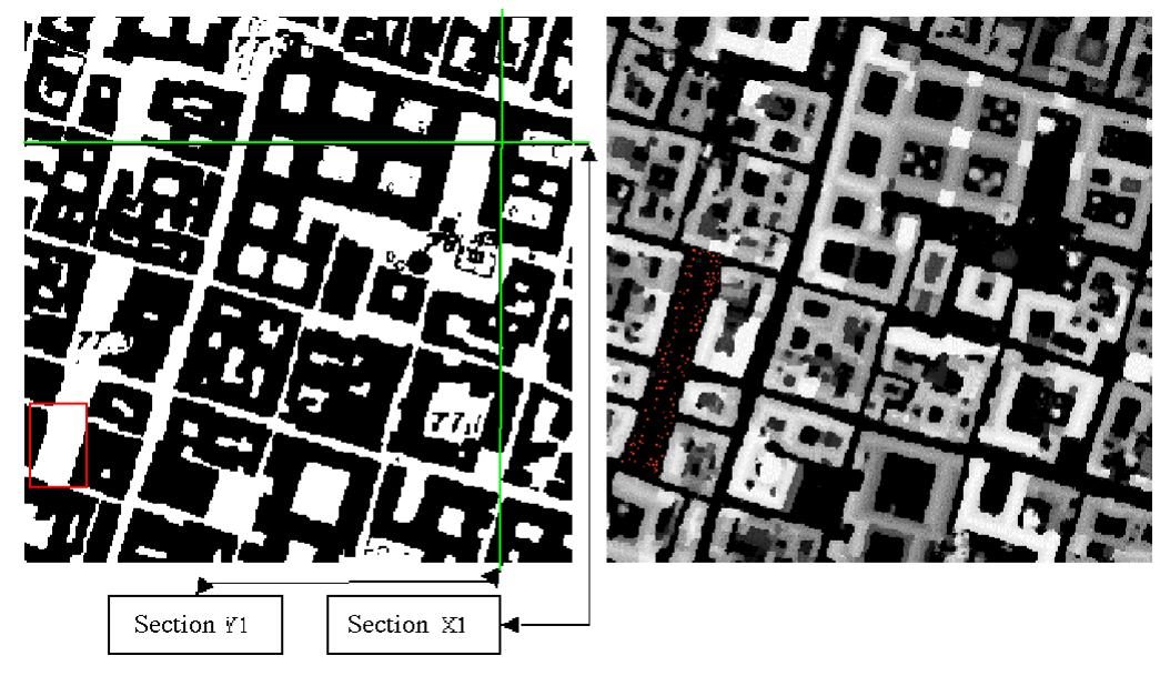 Raster map and lidar dsm of the 4 test area. one more test