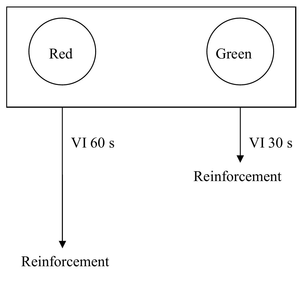 4. schematic illustration of a typical concurrent schedules