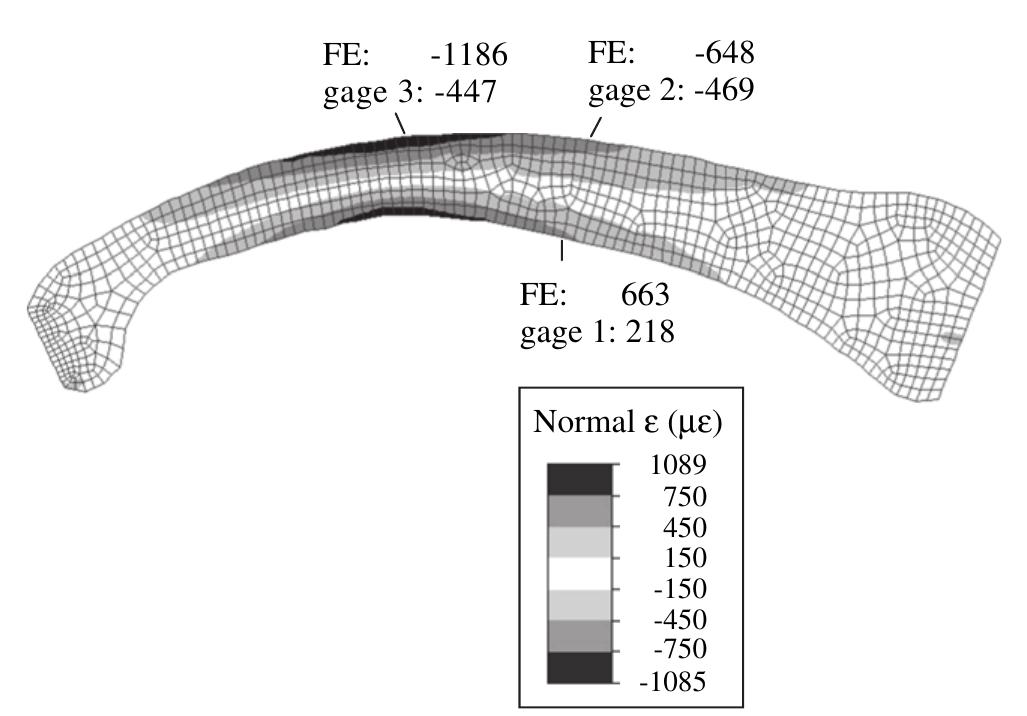 Fe model illustrating normal strain (in je) along the