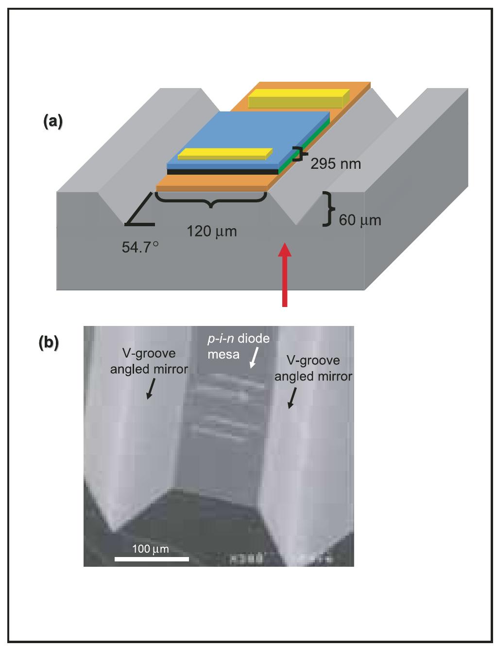 (a) schematic of the fabricated device. (b) electron micro-