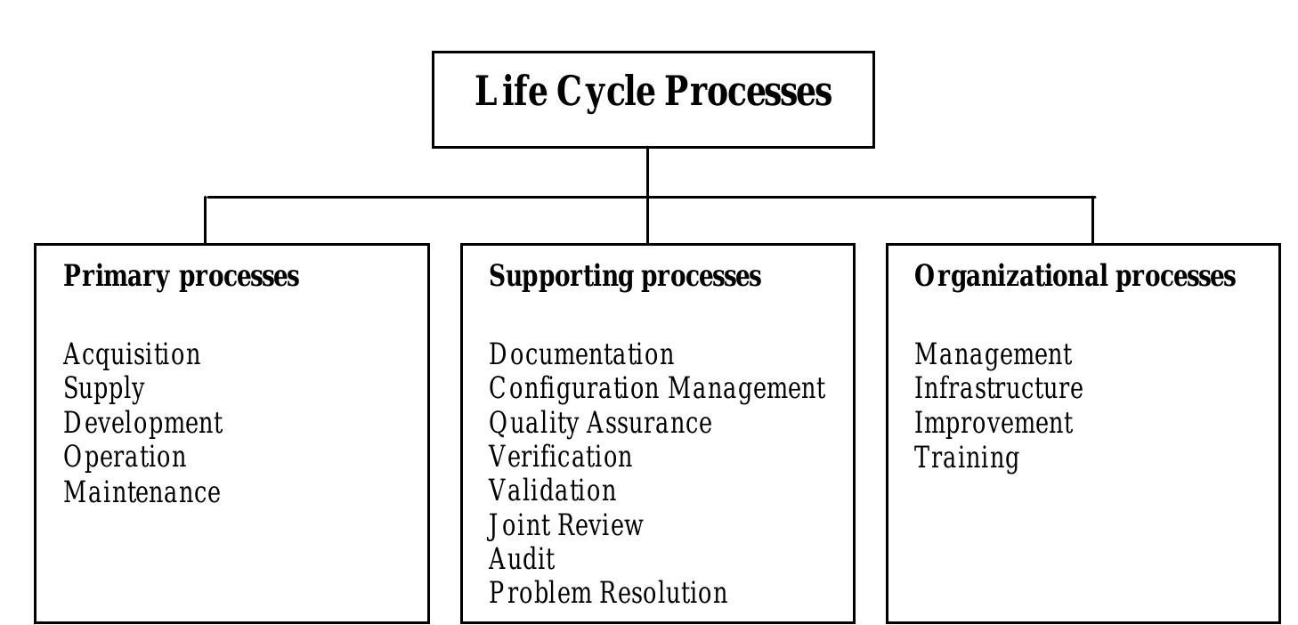The iso life cycle processes.