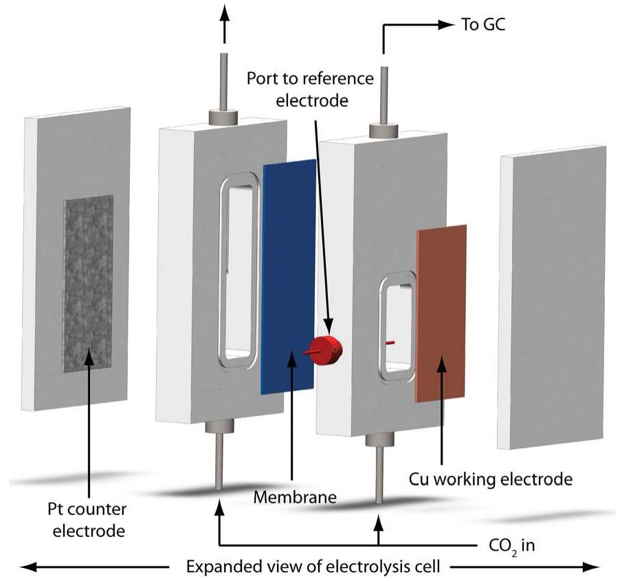 Schematic of the electrochemical cell and experimental setup