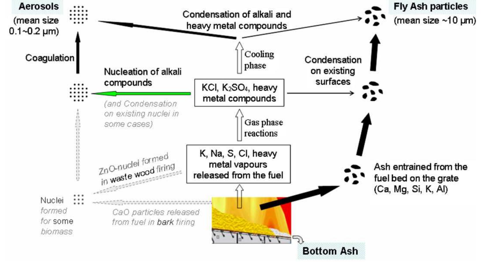 Schematic illustration of ash formation routines during