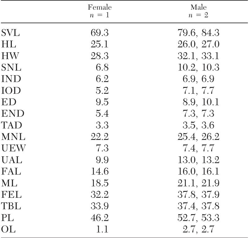 Among mensural characters in the type series of limnonectes
