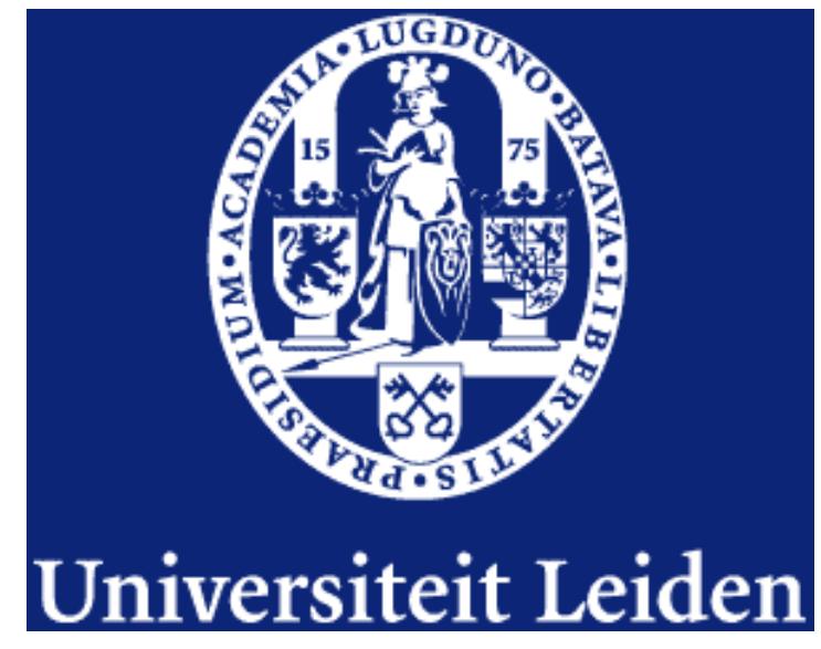 Figure 1 - Raney-type nickel catalysts Powder metallurgy