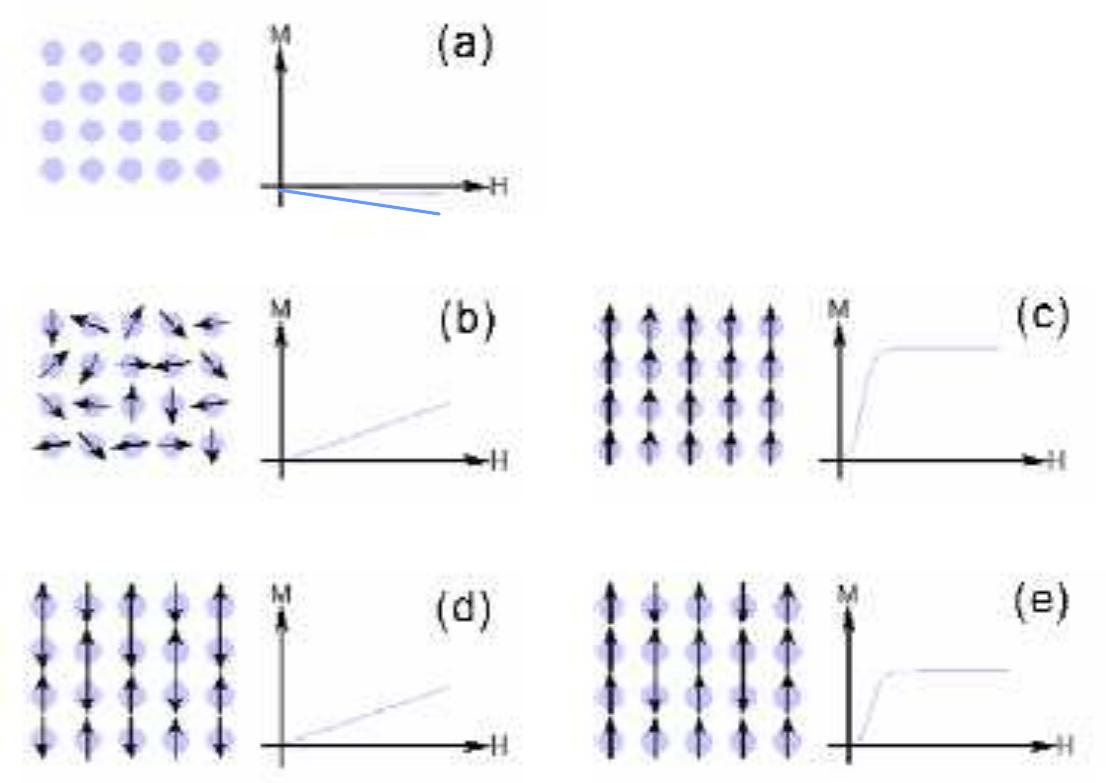 2 summary of different types of magnetic behavior. (a)