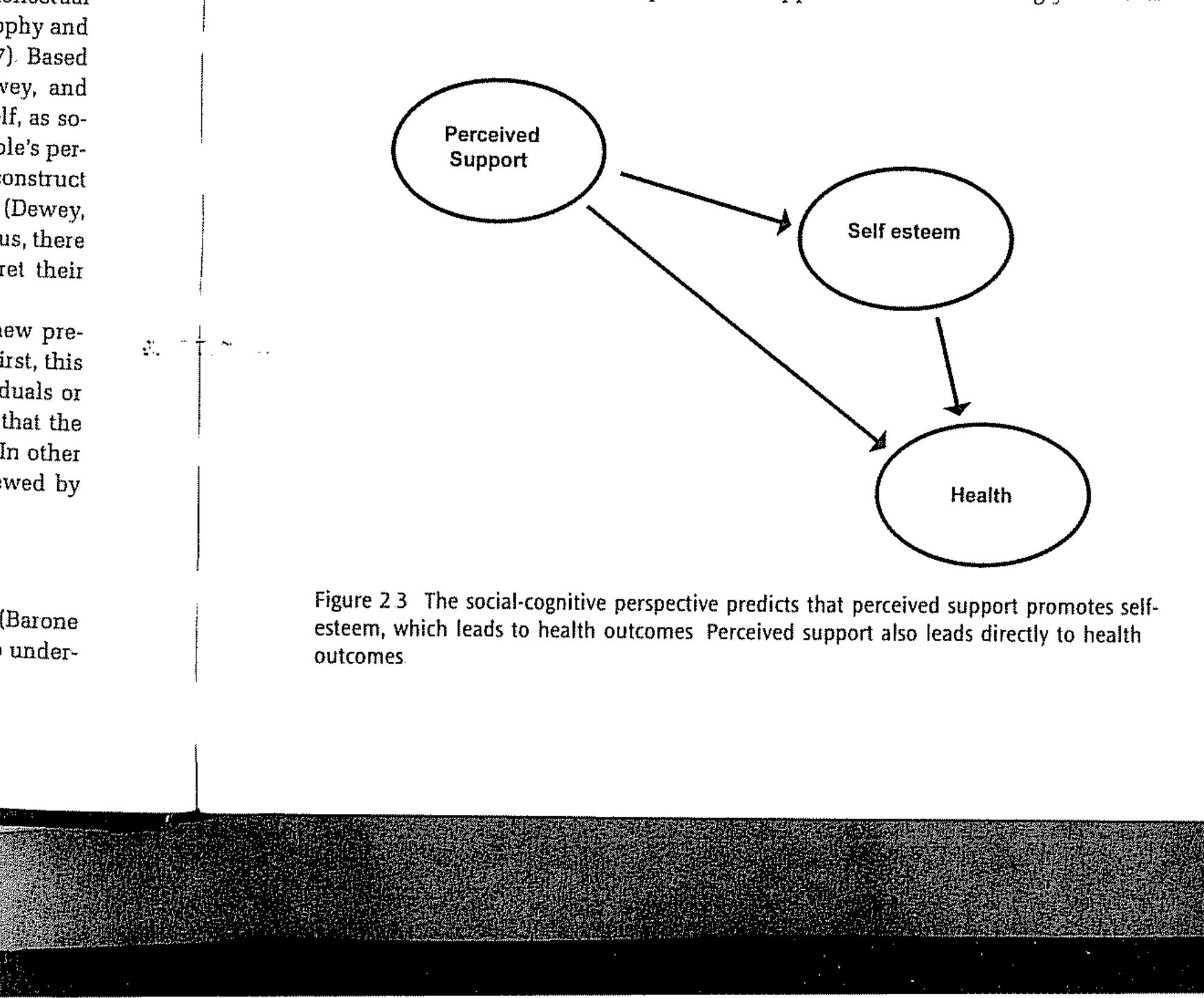 (PDF) Social support theory and measurement