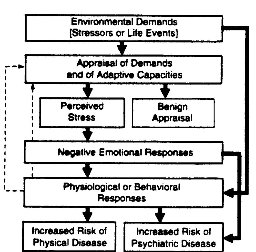 1 a heuristic model of the stress process designed to