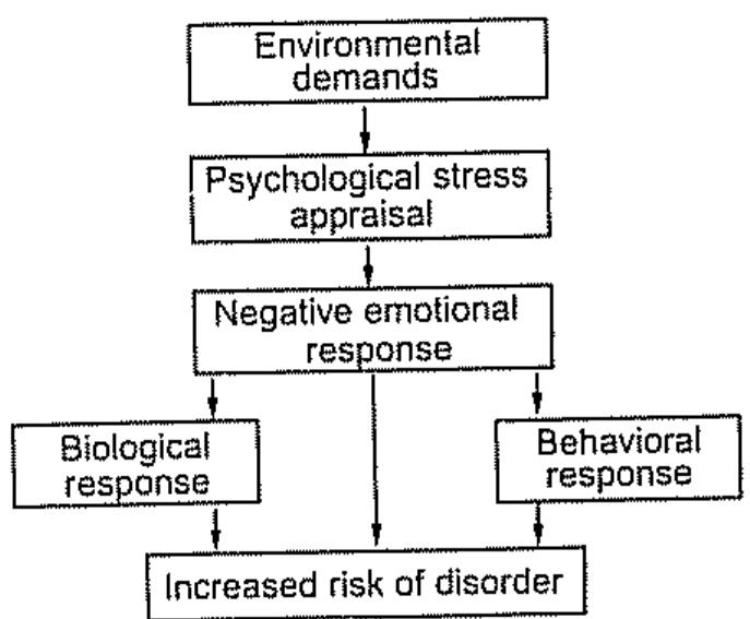 The heuristic model showing the sequential relations between