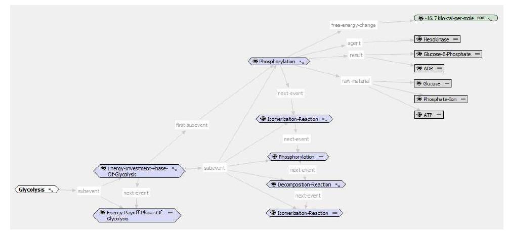 Concept map of glycolysis