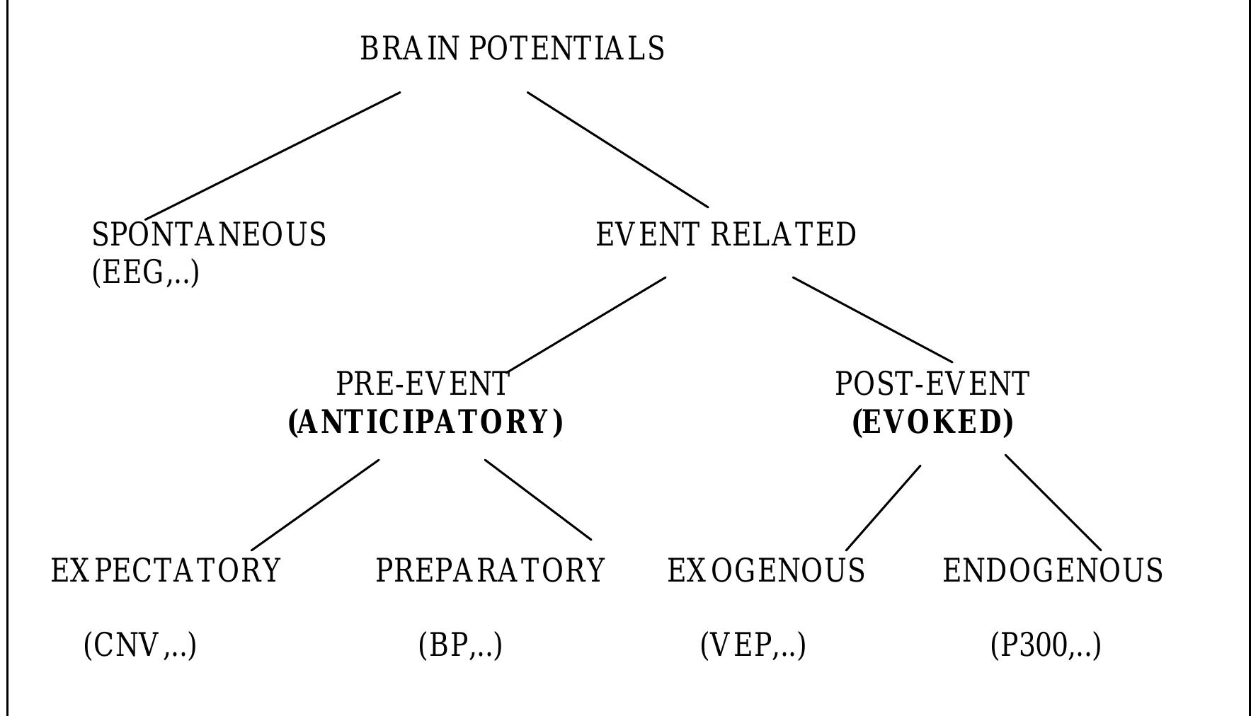 Shows a taxonomy of the brain potentials. in general, brain