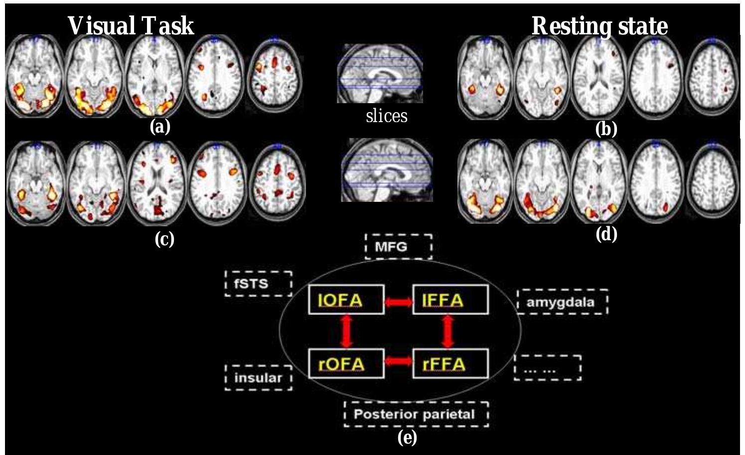 The map of functional connectivity in visual task and