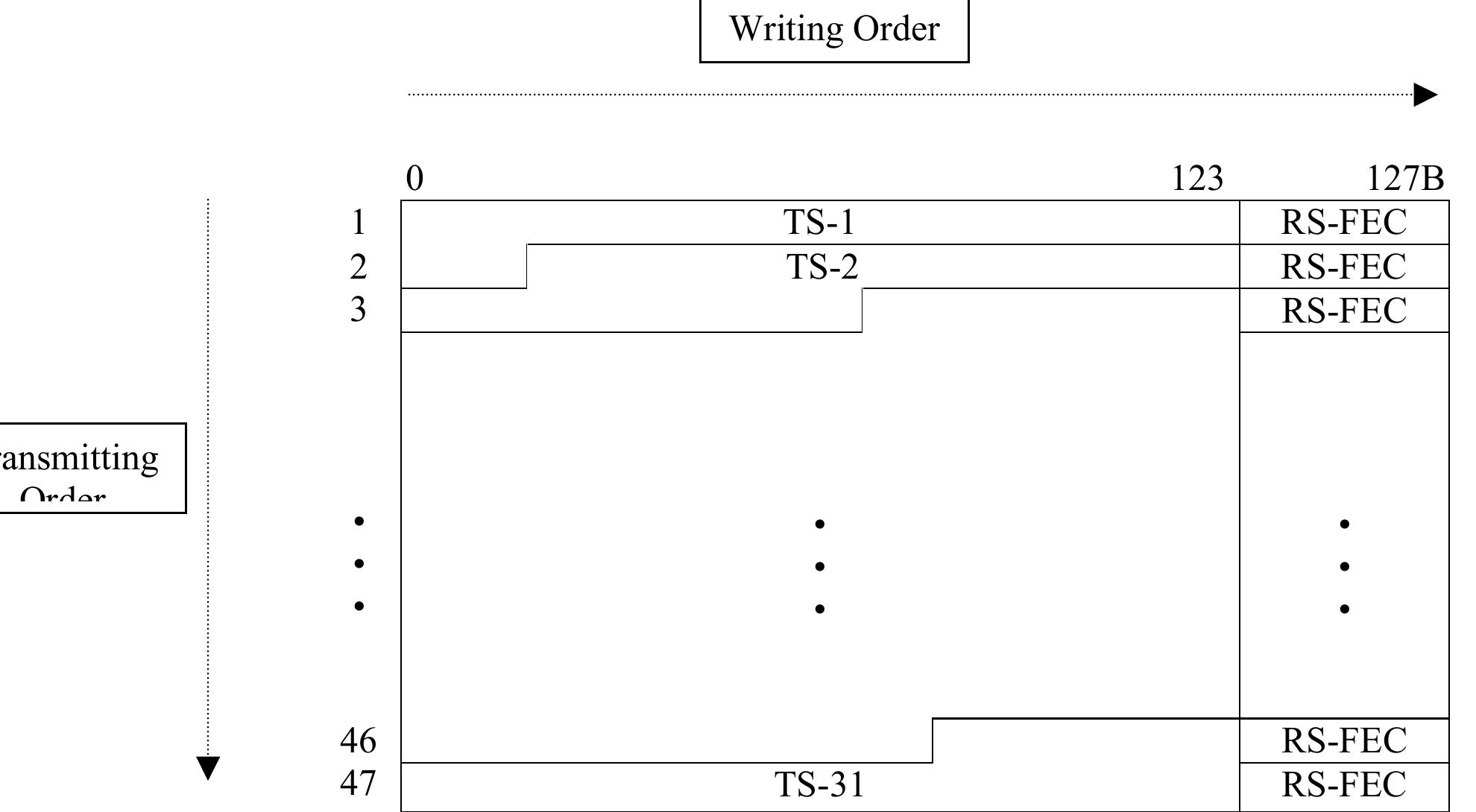Interleaved transport stream (reed-solomon fec) an