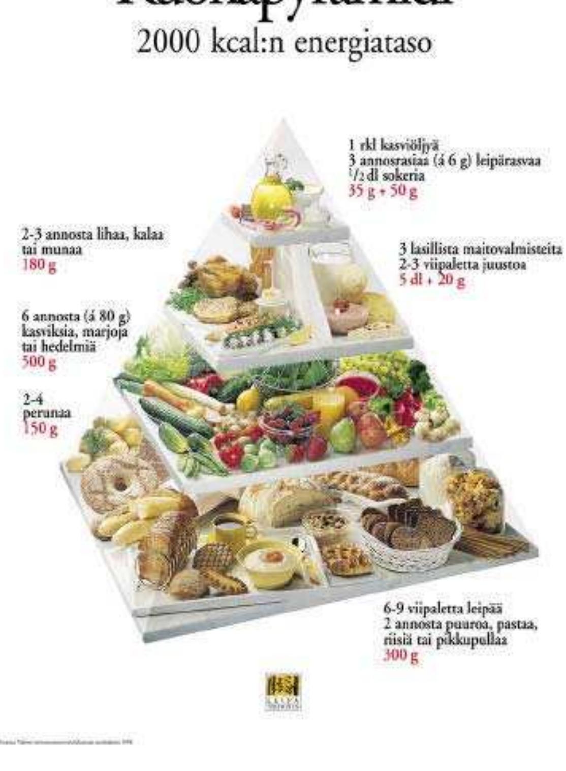 The food pyramid of finnish bread information the usda