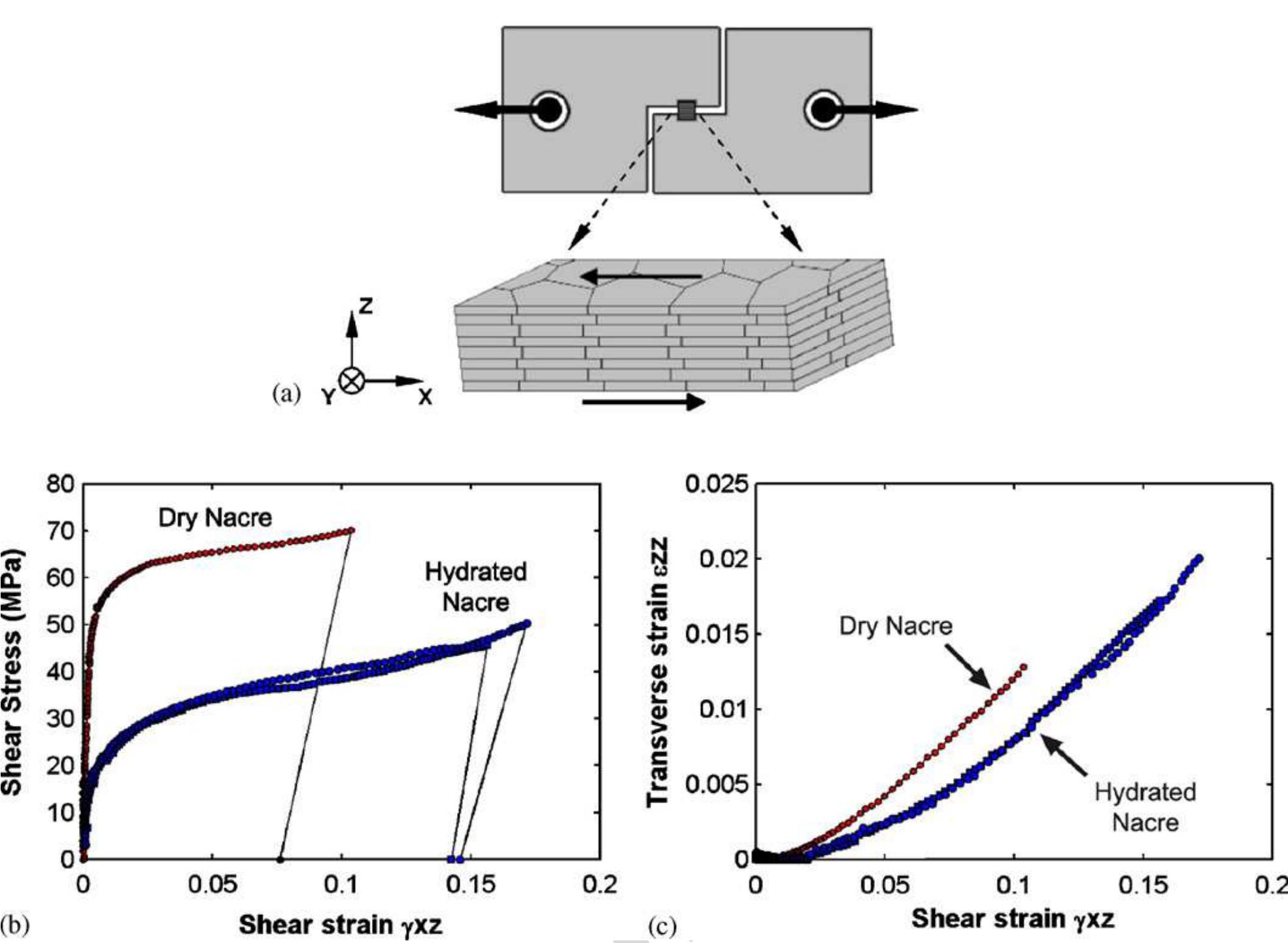 (a) simple shear setup. (b) shear stress-strain curve in dry