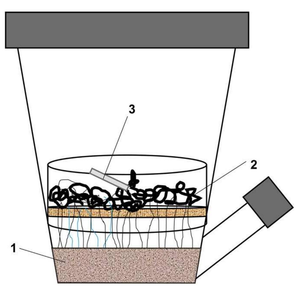 Diagram showing set-up of the modified bioreactors. the