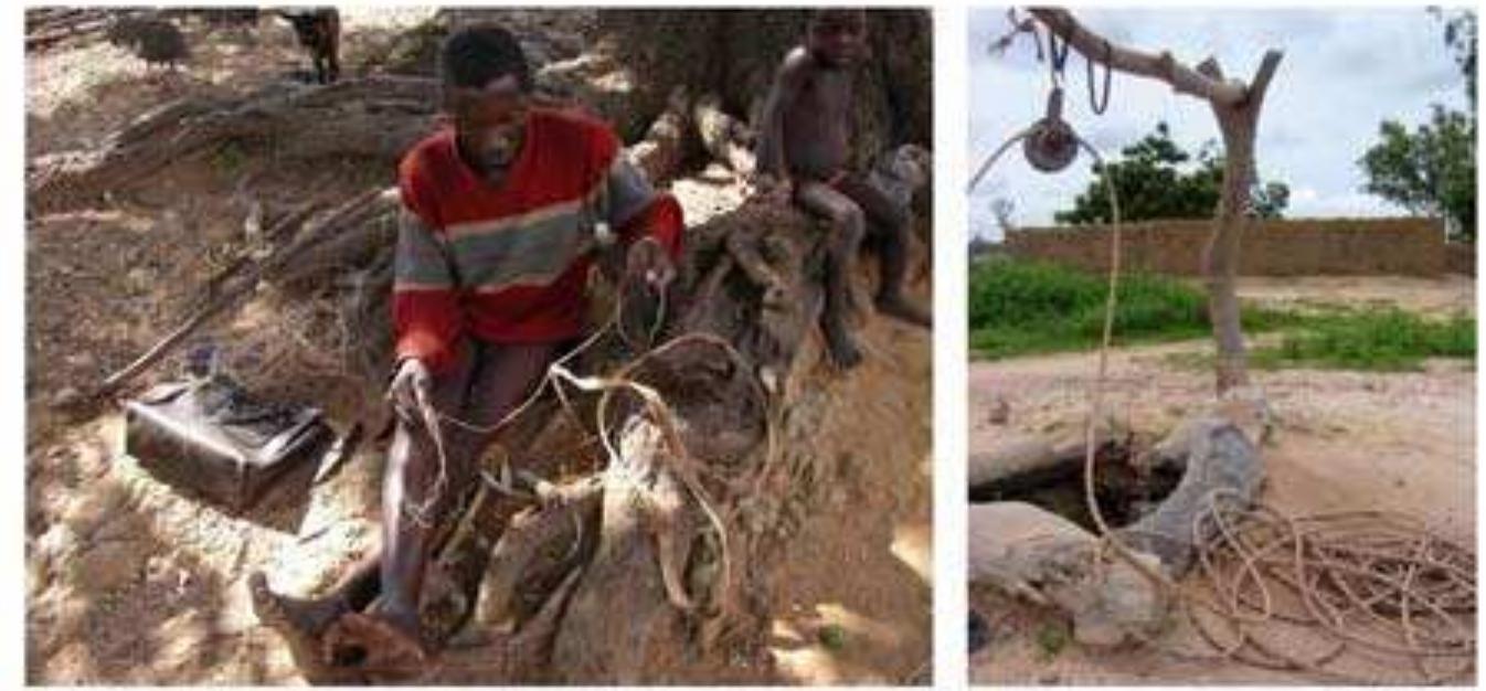Left: bark fibres of baobab twisted into ropes. (source: