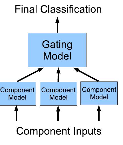 Ensemble classification using a gating model metanetwork.