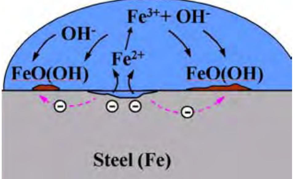 La: schematic picture of a steel corrosion cell: metal ions