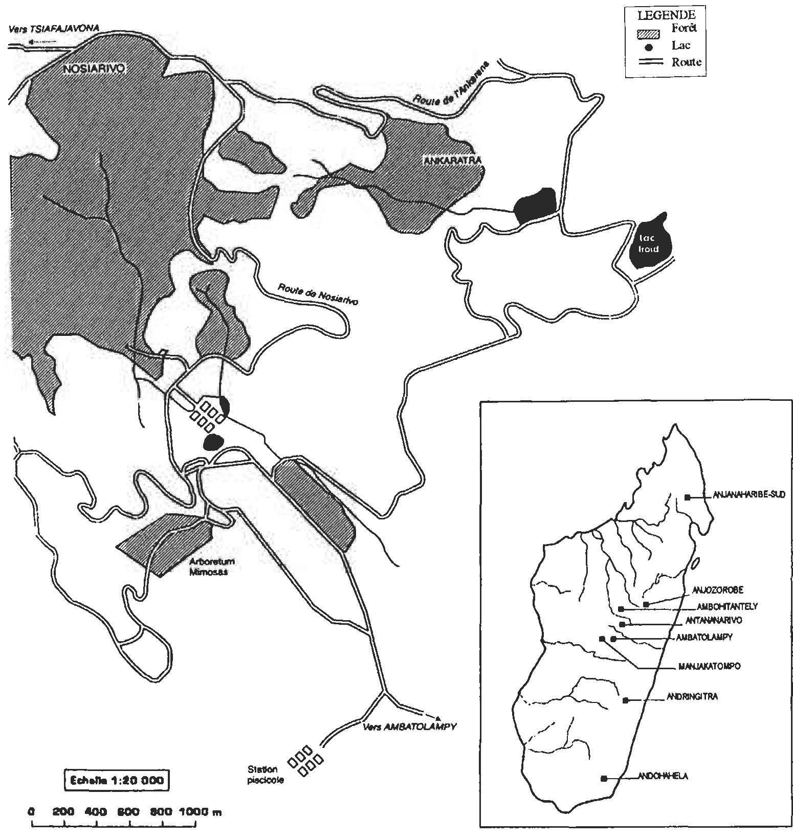 Map showing the general plan of the manjakatompo forestry