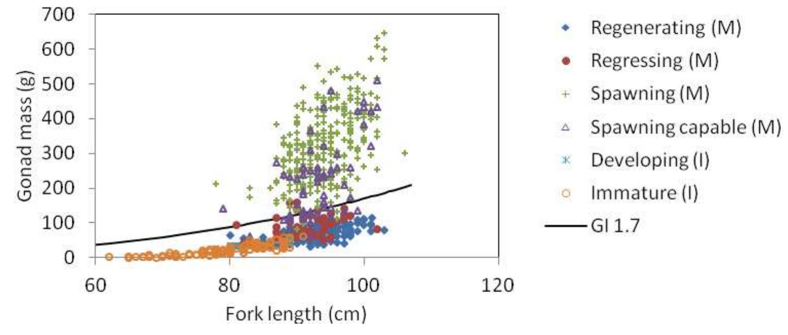 Figure 28 - Population biology of albacore tuna in the