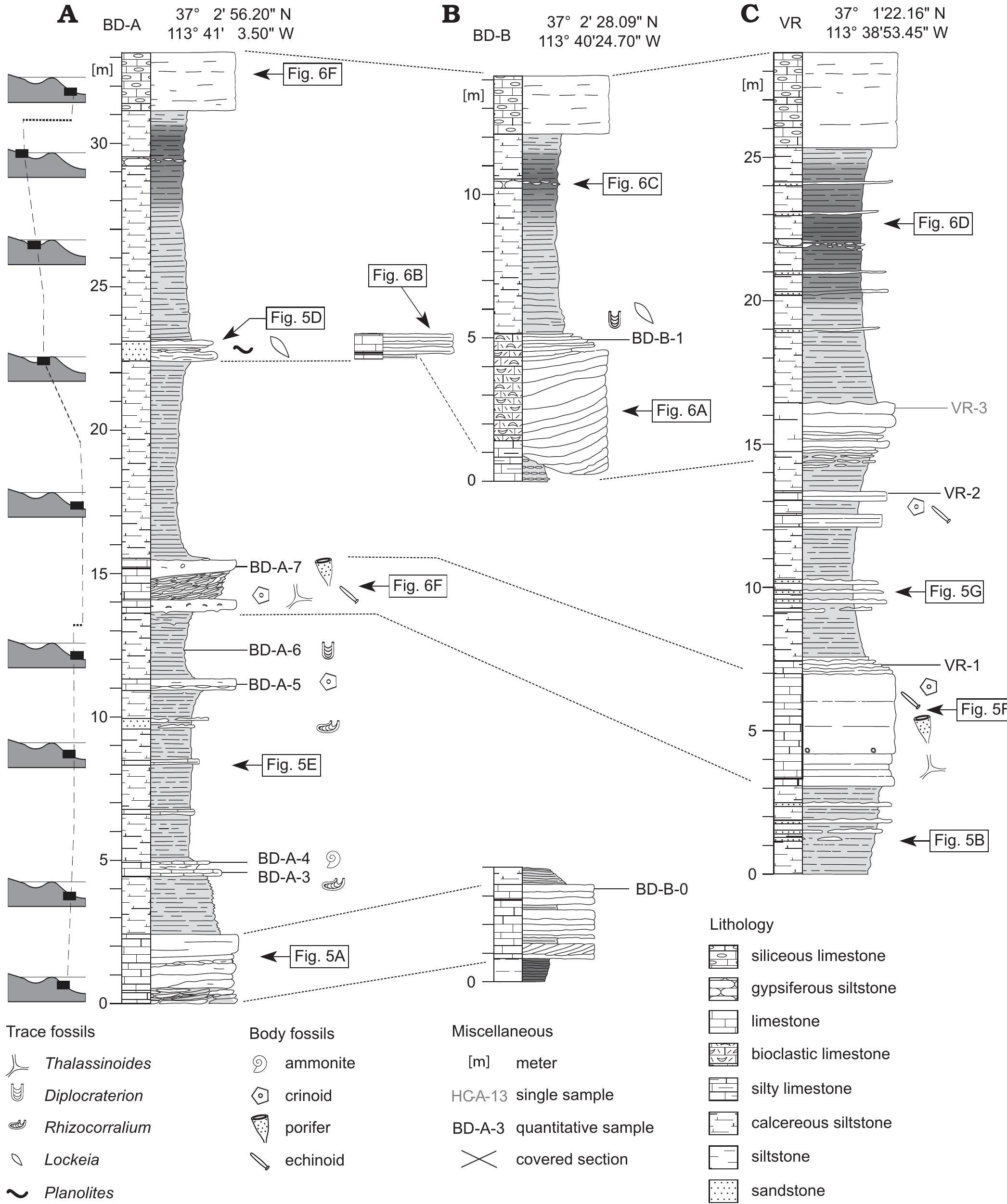Stratigraphic sections shown as weathering profile of the