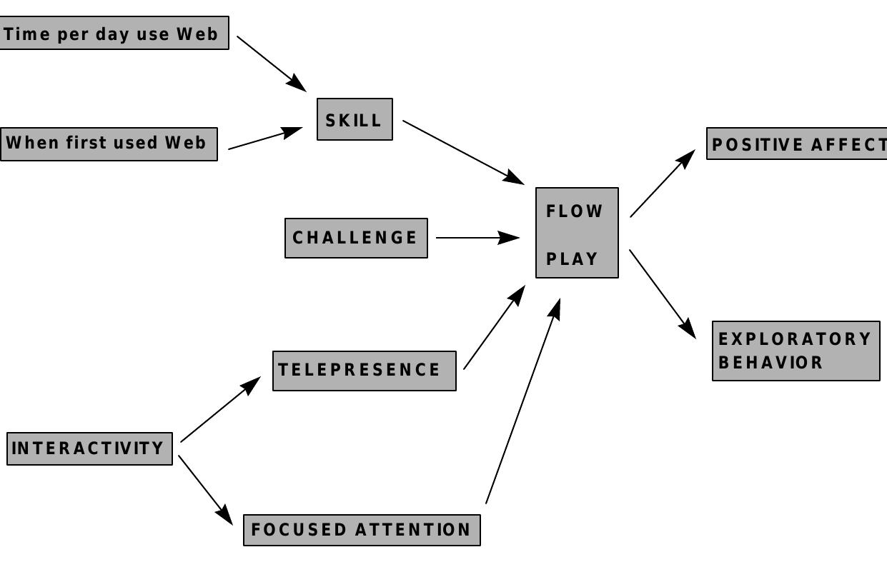 Conceptual models. our general conceptual model of flow in